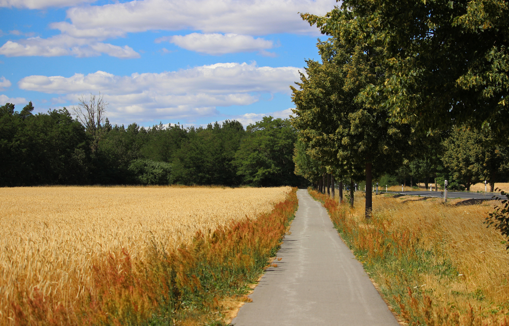 Altmark Foto & Bild | deutschland, europe, sachsen- anhalt Bilder auf ...