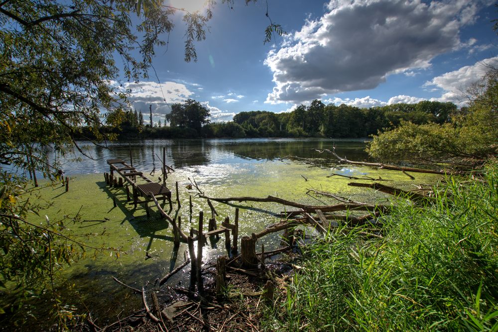 Altrhein bei Altrip Foto & Bild | landschaft, bach, fluss & see, flüsse ...