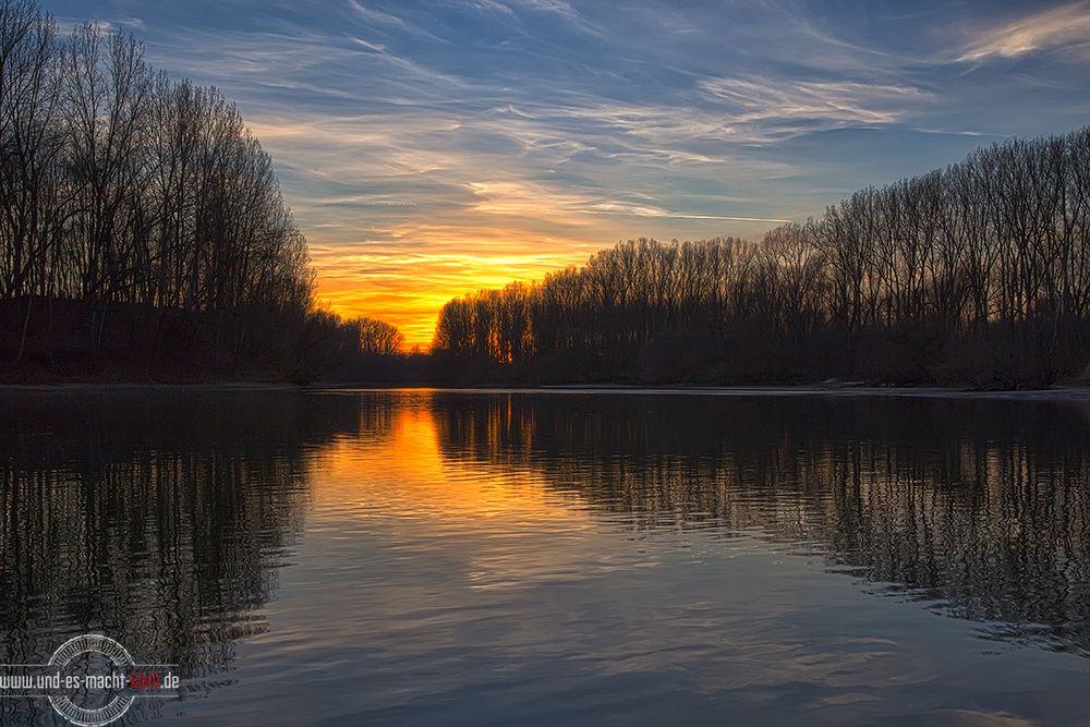 Altrhein Foto & Bild | landschaft, rhein, landscape Bilder auf ...
