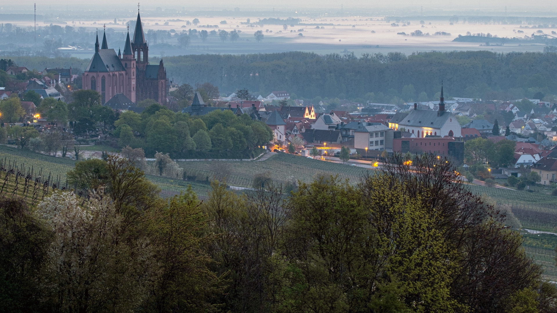 Altstadt von Oppenheim Foto & Bild | architektur, sakralbauten ...