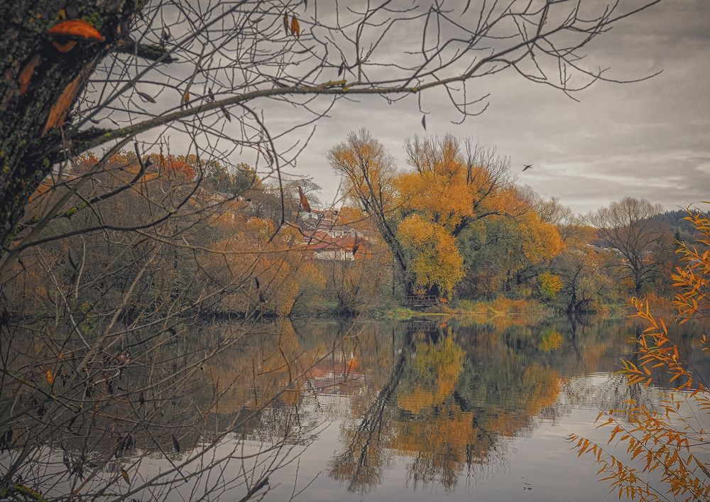 Altwasser Foto & Bild | landschaft, jahreszeiten, herbst Bilder auf fotocommunity