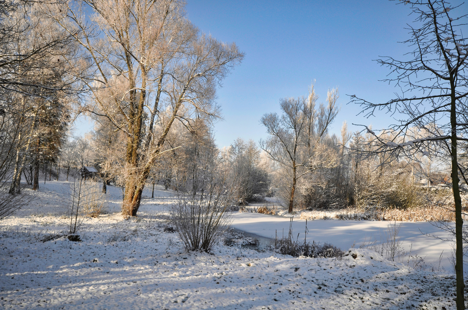 Am 1. Advent Foto & Bild | jahreszeiten, winter, projekte Bilder auf fotocommunity