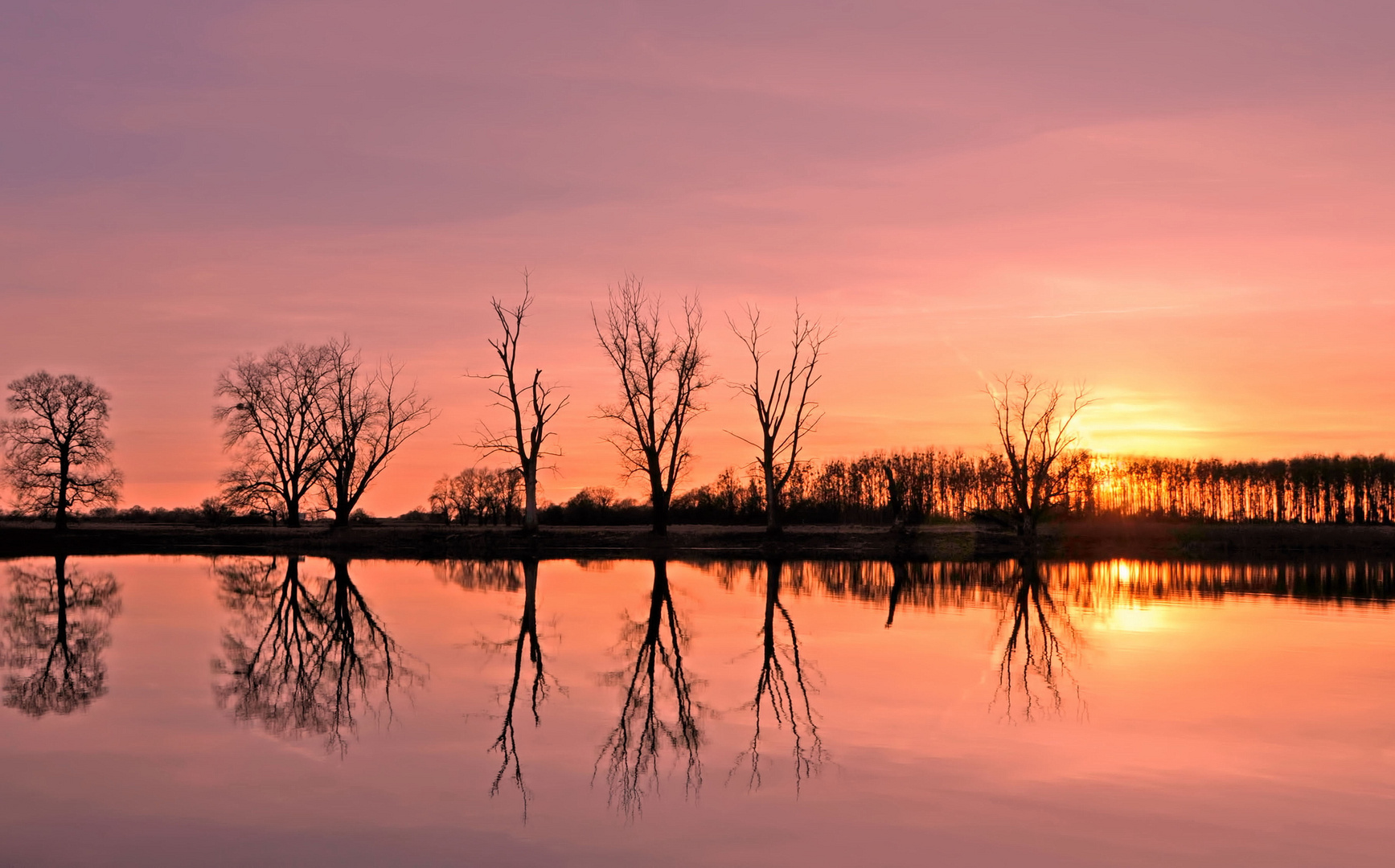 °Am Abend° Foto & Bild | landschaft, fotos, bäume Bilder auf fotocommunity