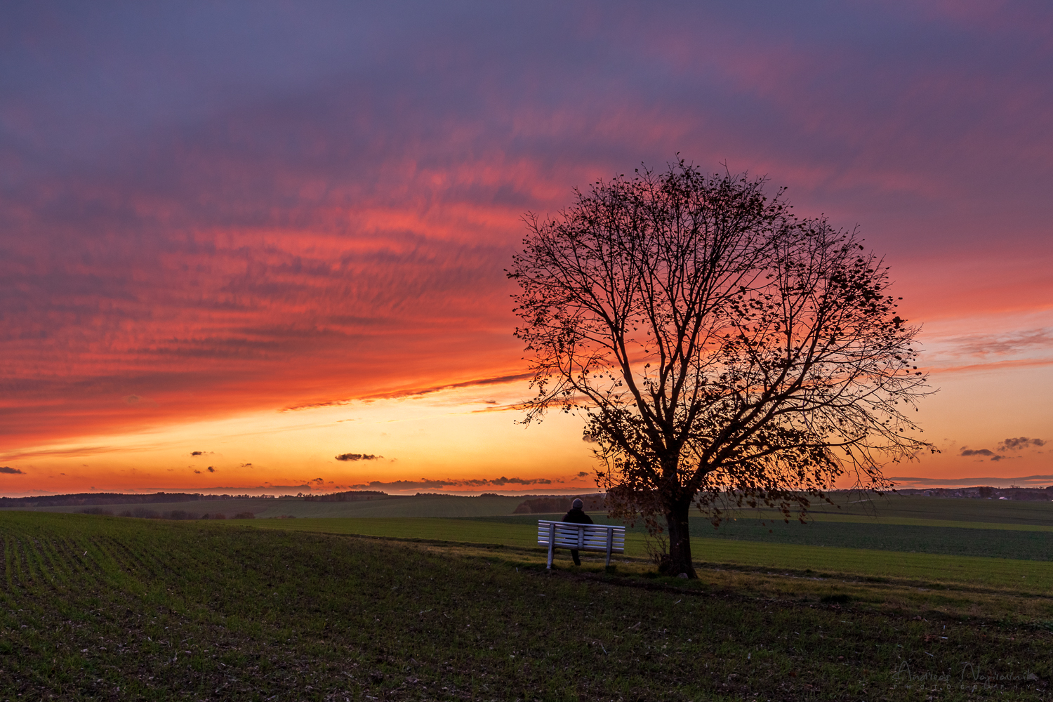 Am Abend Foto & Bild | fotos, baum, licht Bilder auf fotocommunity