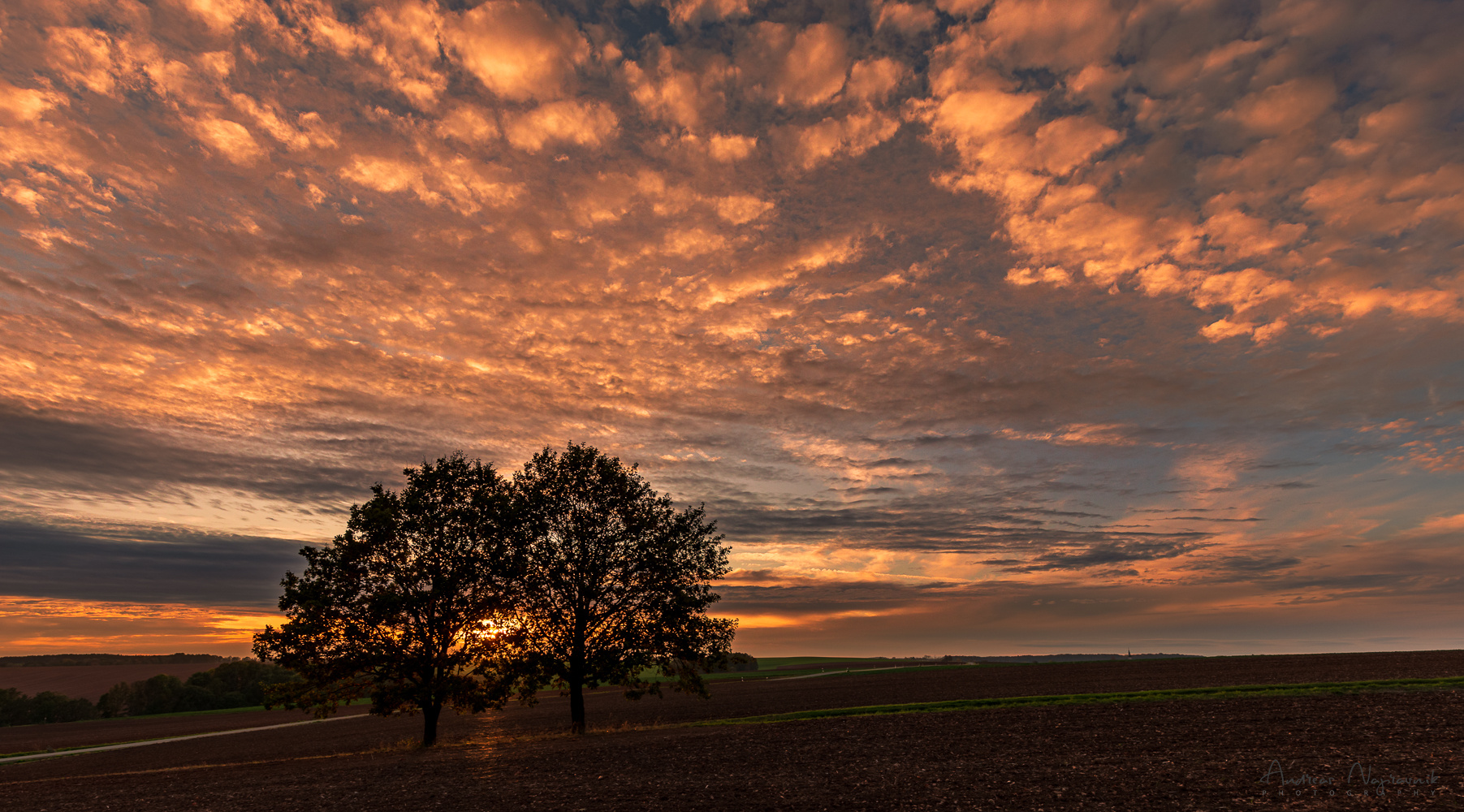 am Abend Foto & Bild | landschaft, sonnenuntergänge, Äcker, felder ...