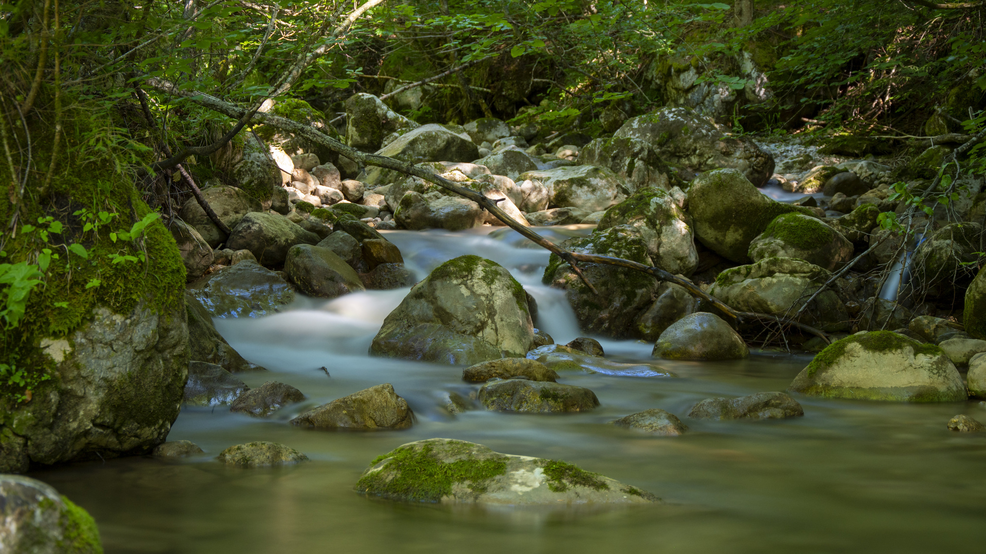 Am Bach Foto & Bild | landschaft, berge, bach, fluss & see Bilder auf ...