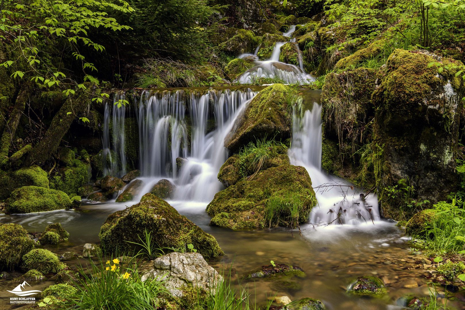 Am Bach Foto & Bild | landschaft, bach, fluss & see, bachläufe Bilder auf fotocommunity