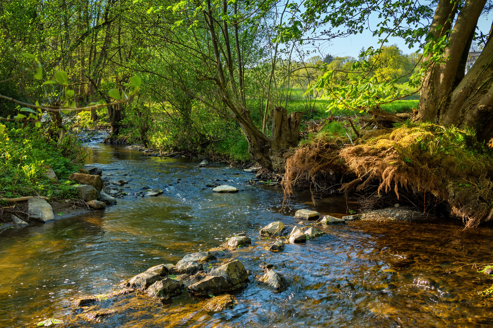...am Bach ... Foto & Bild | landschaft, jahreszeiten, frühling Bilder ...