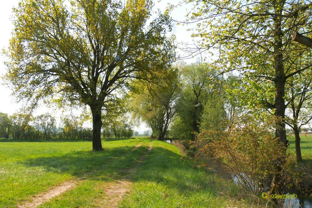 am Bach entlang Foto & Bild | weg, natur, landschaft Bilder auf ...