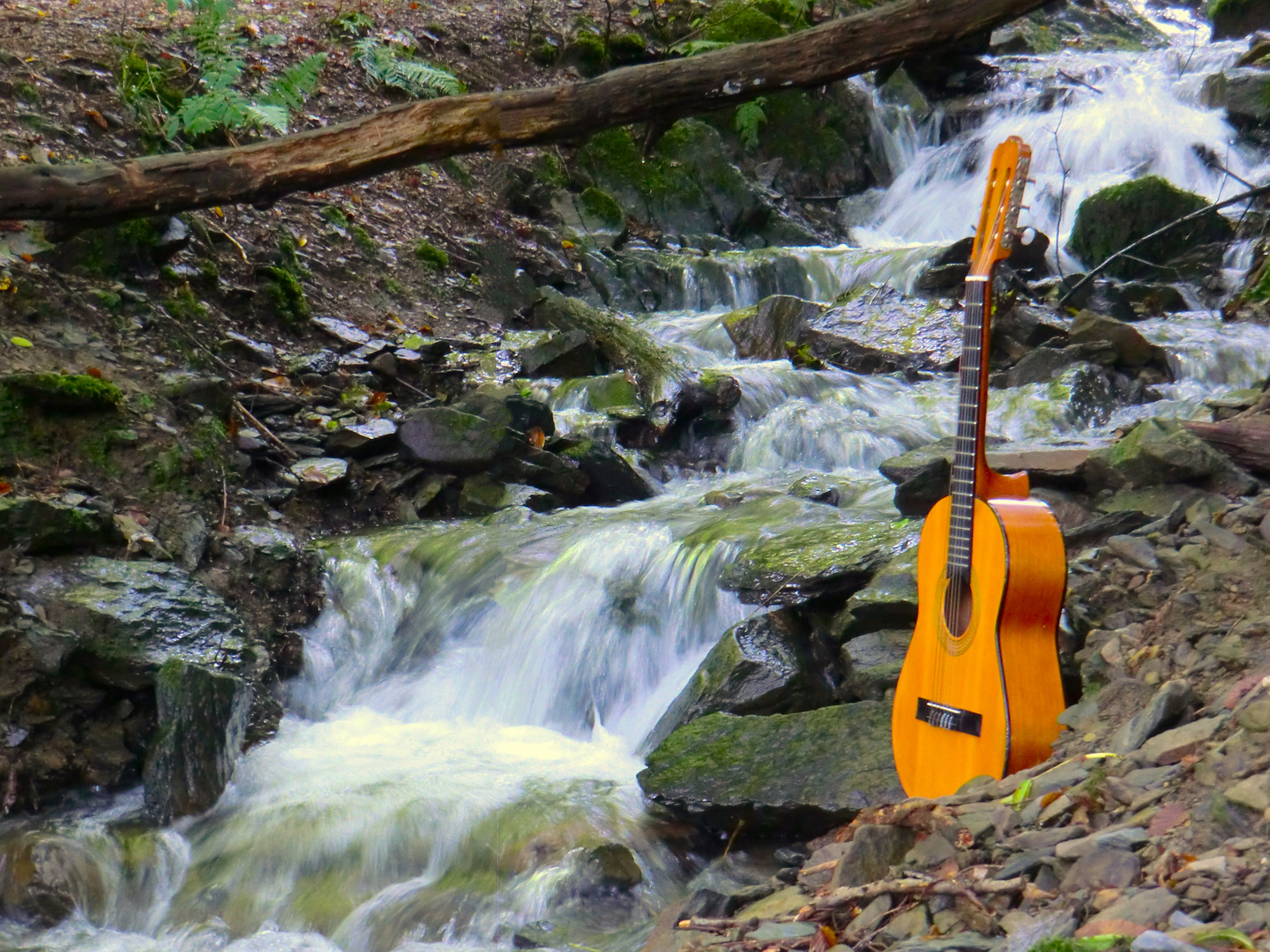Am Bachlauf Foto & Bild | landschaft, kunstfotografie & kultur, musik & konzert Bilder auf ...