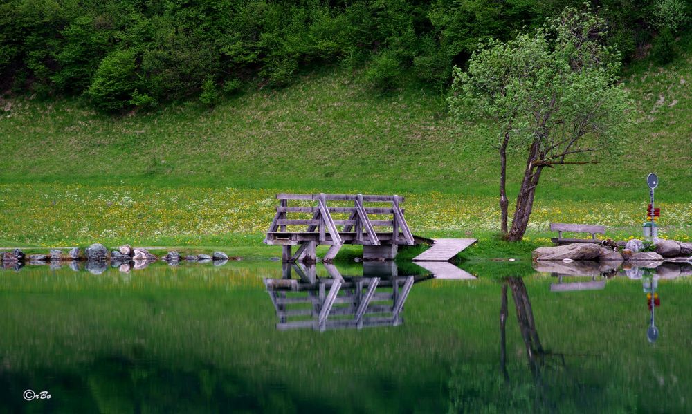 am Badsee Foto & Bild | landschaft, jahreszeiten, frühling Bilder auf ...