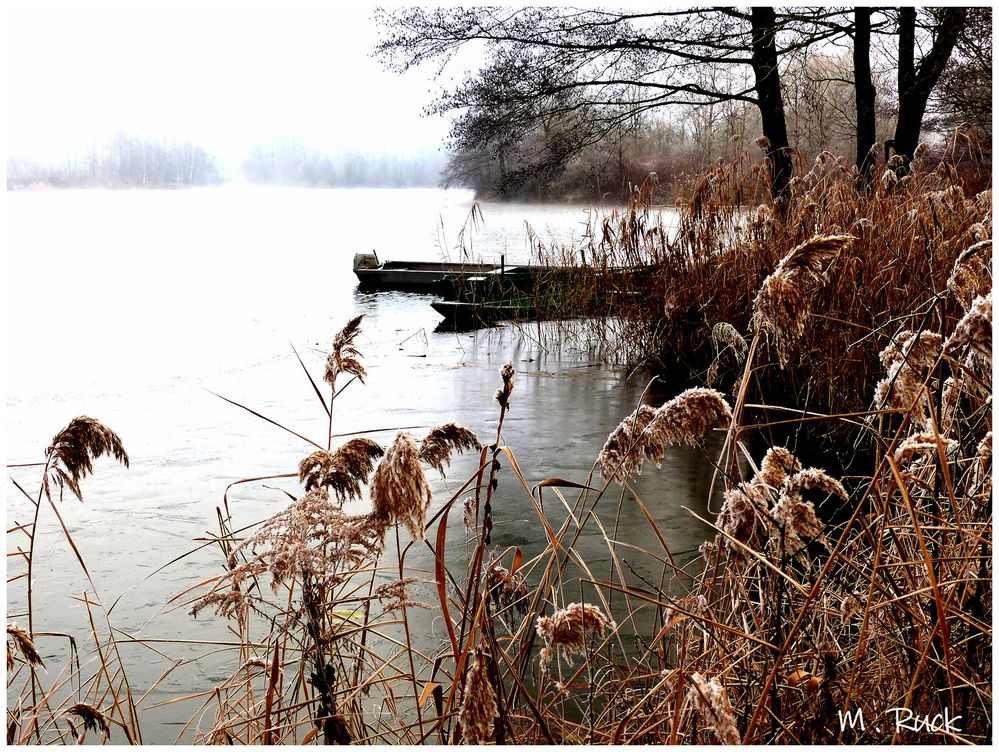 Am Baggersee Foto & Bild | landschaft, januar, winter Bilder auf fotocommunity