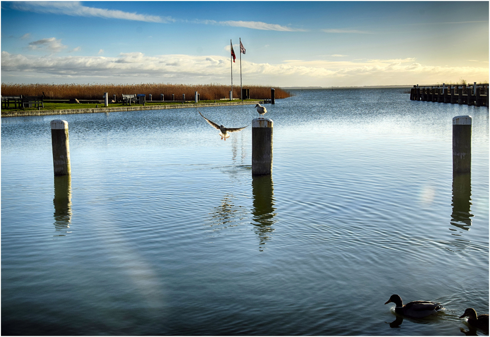 Am Bodden Foto & Bild | natur, landschaft, strand u meer Bilder auf ...