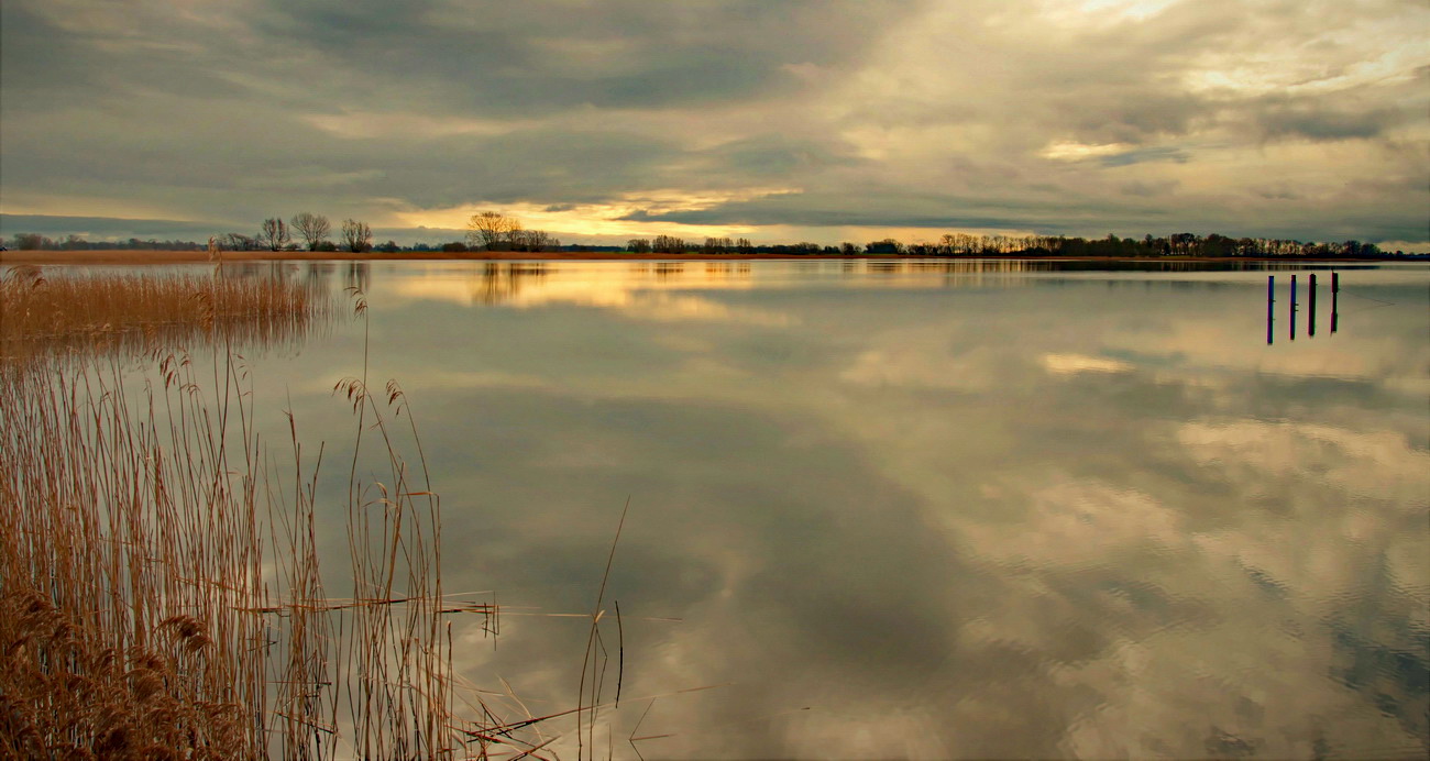 am Bodden Foto & Bild | landschaft, meer & strand, himmel Bilder auf ...