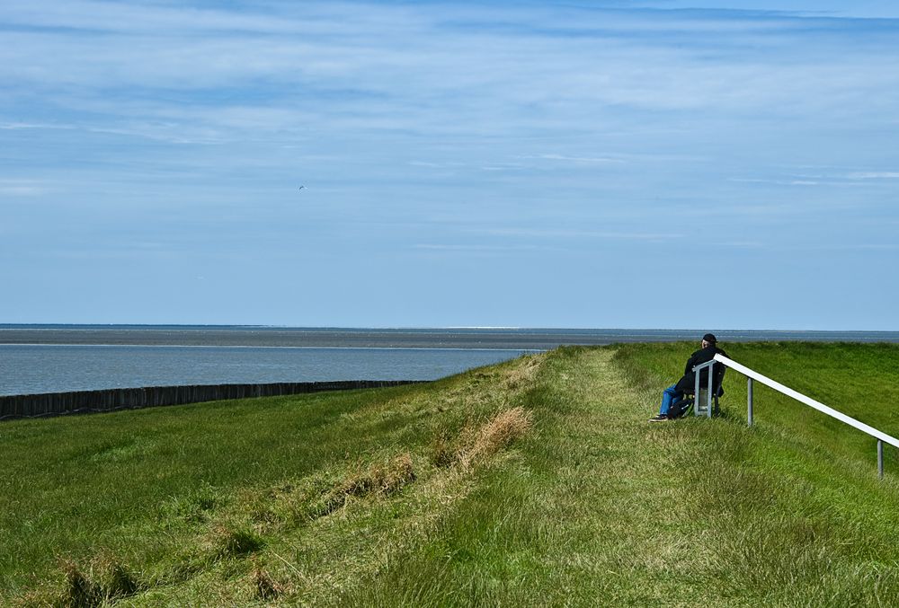 Am Deich Foto & Bild | world, wiese, hamburg Bilder auf fotocommunity