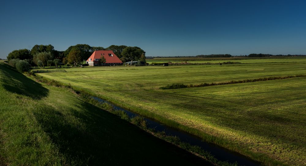 Am Deich Foto & Bild | fotos, natur, landschaft Bilder auf fotocommunity