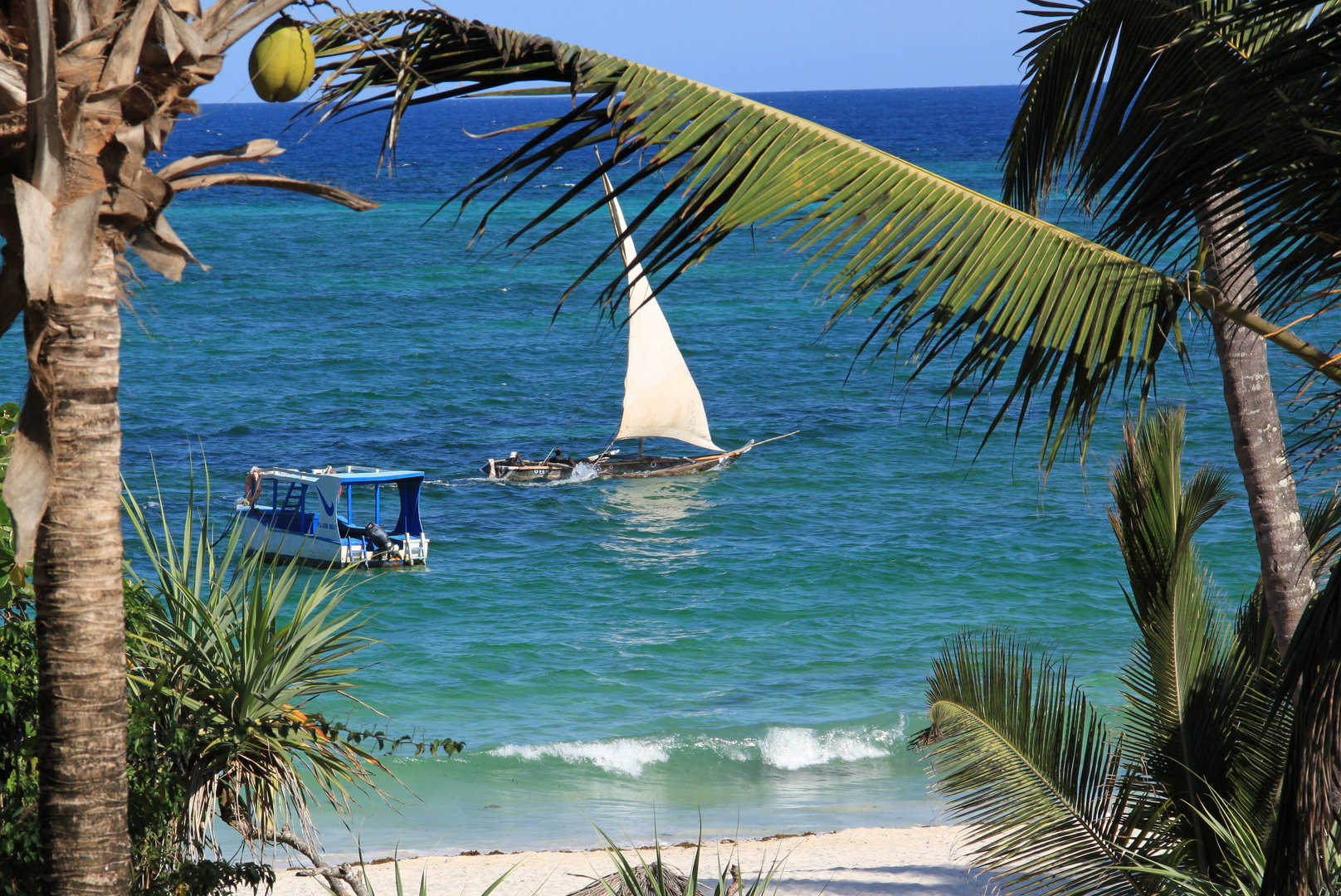 am Diani Beach Foto & Bild | africa, eastern africa, kenya Bilder auf ...