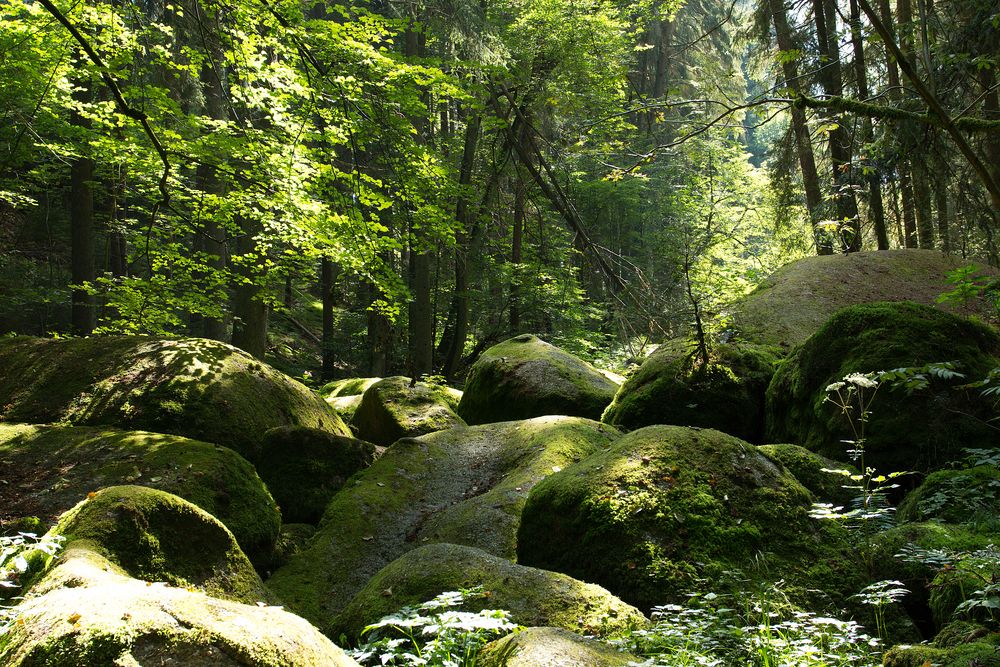 am Doost Foto & Bild | natur, landschaft, bach Bilder auf fotocommunity