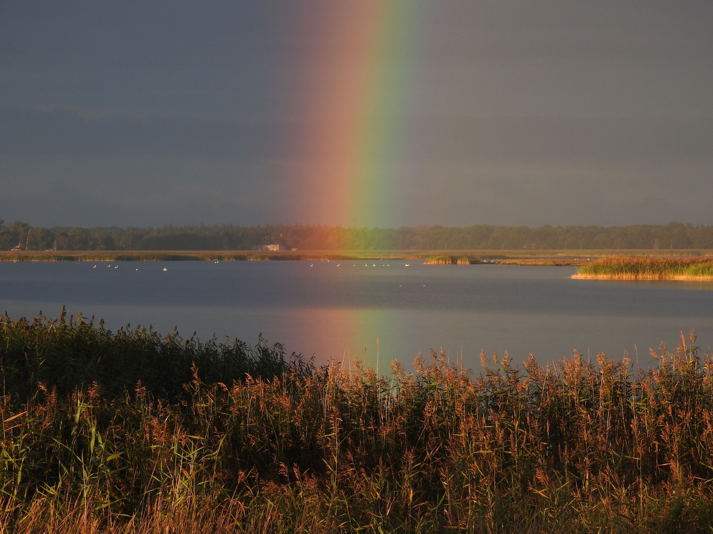 Am Ende des Regenbogens Foto & Bild | natur und landschaft ...