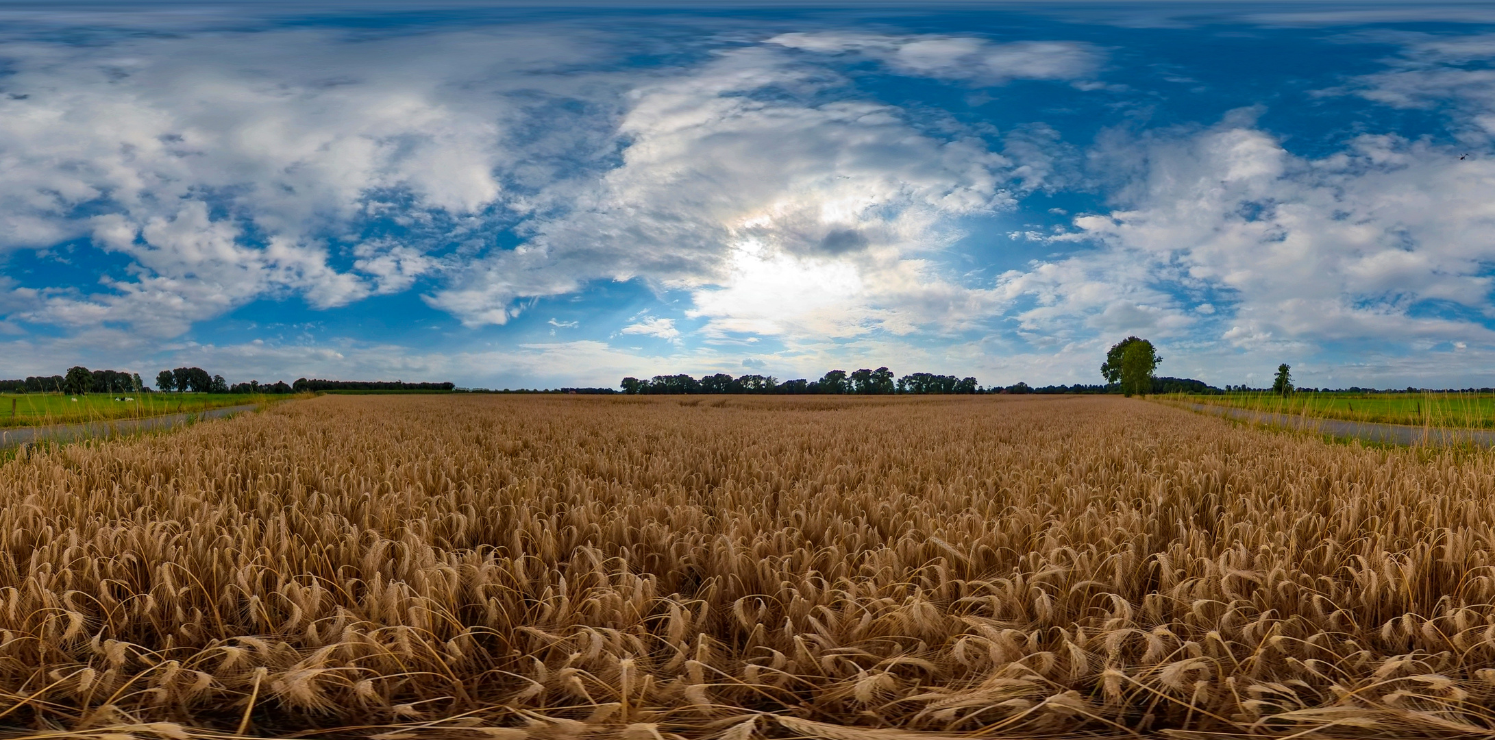 Am Feld Foto & Bild | panorama, getreide Bilder auf fotocommunity