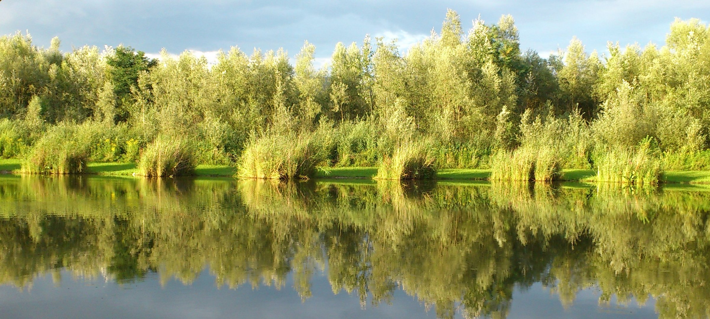 Am Fischteich Foto & Bild | landschaft, bach, fluss & see, see, teich ...