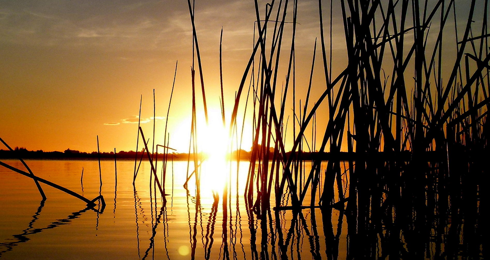 Am Fluss Foto & Bild | sonnenuntergang, fluss, natur Bilder auf ...