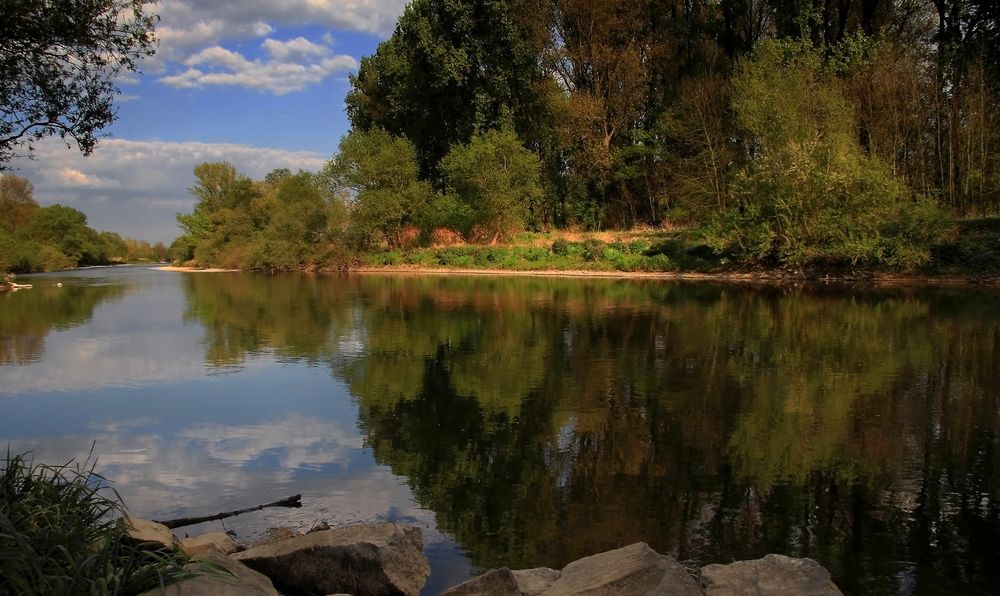 Am Fluß Foto & Bild | landschaft, sonstiges, projekte Bilder auf ...