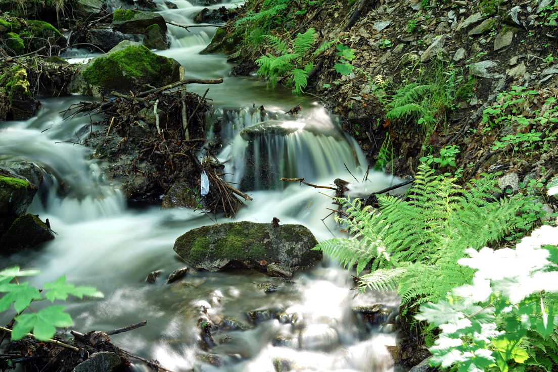 Am Fluß Foto & Bild | motive, natur, world Bilder auf fotocommunity