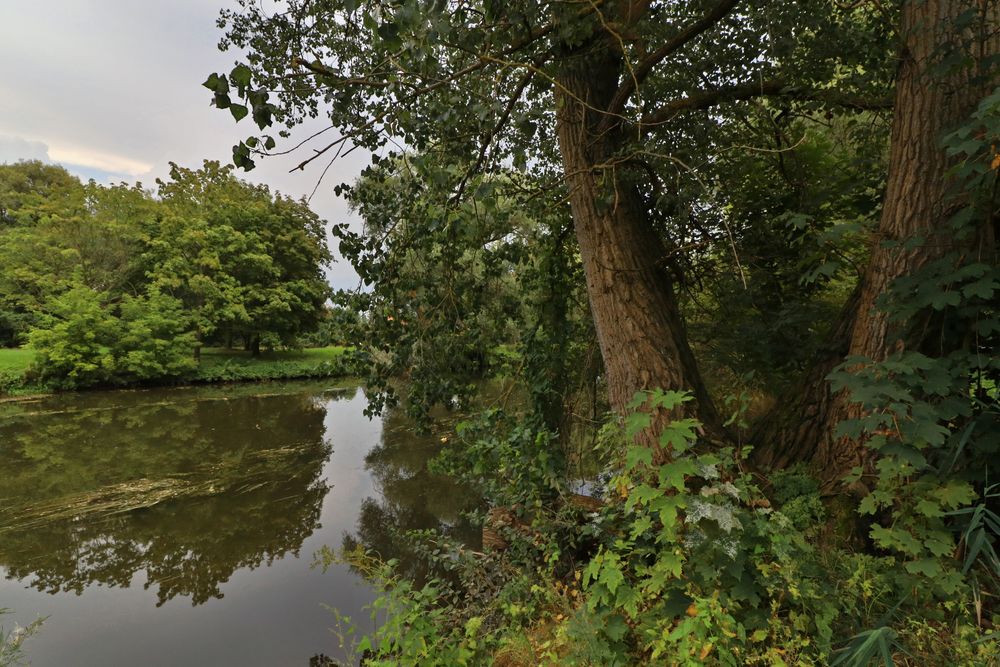 Am Flussufer Foto & Bild | landschaften, sommer, wasser Bilder auf ...