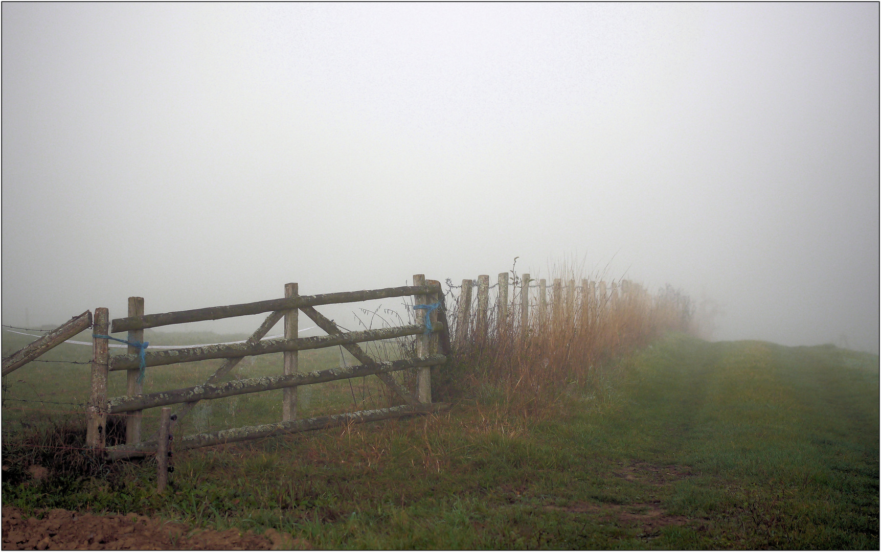 Am Gatter Foto & Bild | landschaft, jahreszeiten, herbst Bilder auf ...