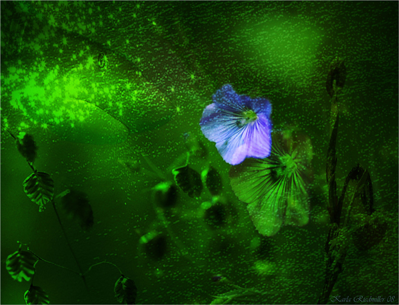 .. am Grab der Titanic ..... Foto & Bild | fotomontage, composing ...