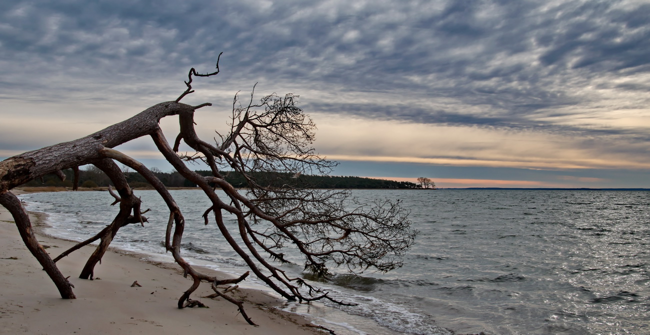 Am Greifswalder Bodden Foto & Bild | wasser, bäume, wolken Bilder auf ...
