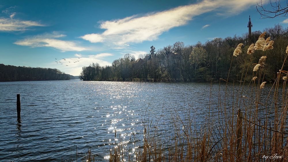 Am Griebnitzsee Foto & Bild | world, test, outdoor Bilder auf fotocommunity