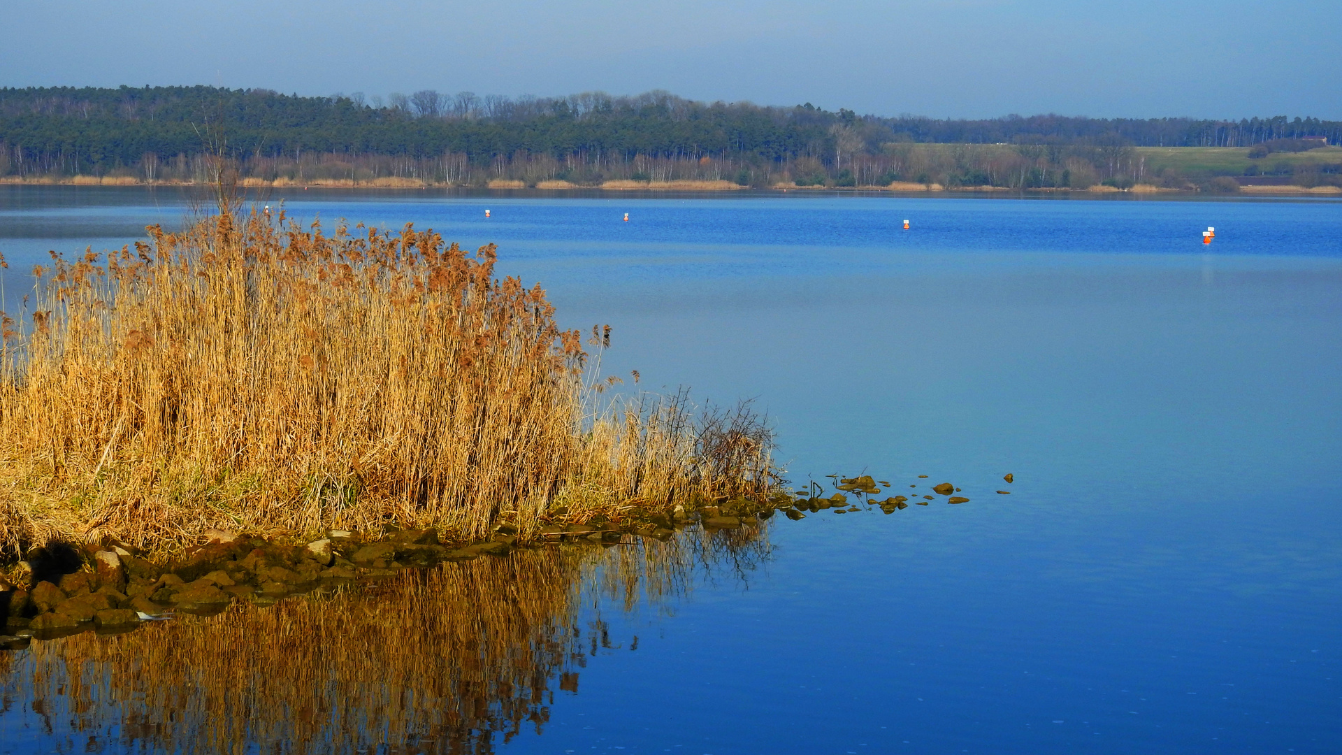 am großen Rothsee Foto & Bild | deutschland, europe, bayern Bilder auf ...