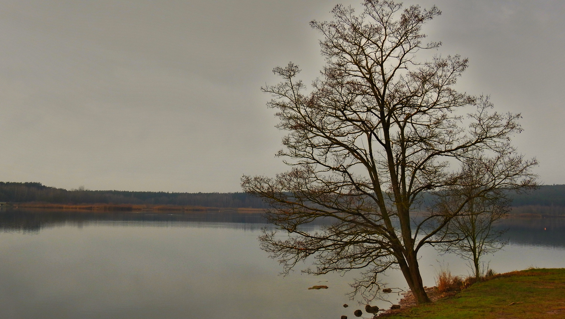 am großen Rothsee Foto & Bild | landschaft, bach, fluss & see, fränk ...