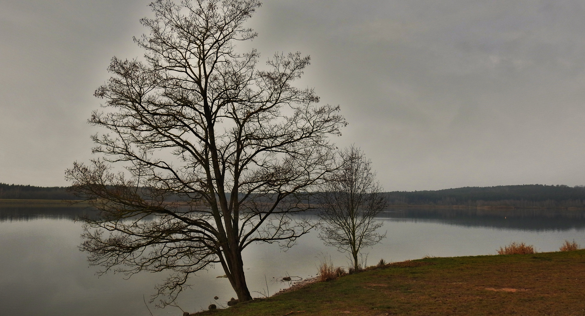 am großen Rothsee Foto & Bild | landschaft, bach, fluss & see, fränk ...