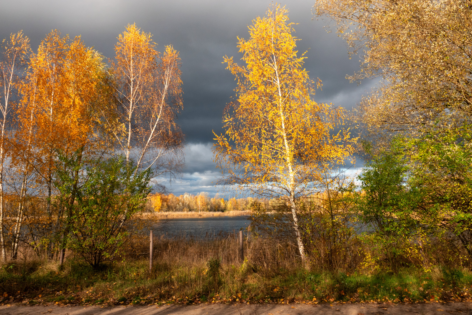 Am Habermannsee Foto & Bild | landschaft, jahreszeiten, herbst Bilder auf fotocommunity