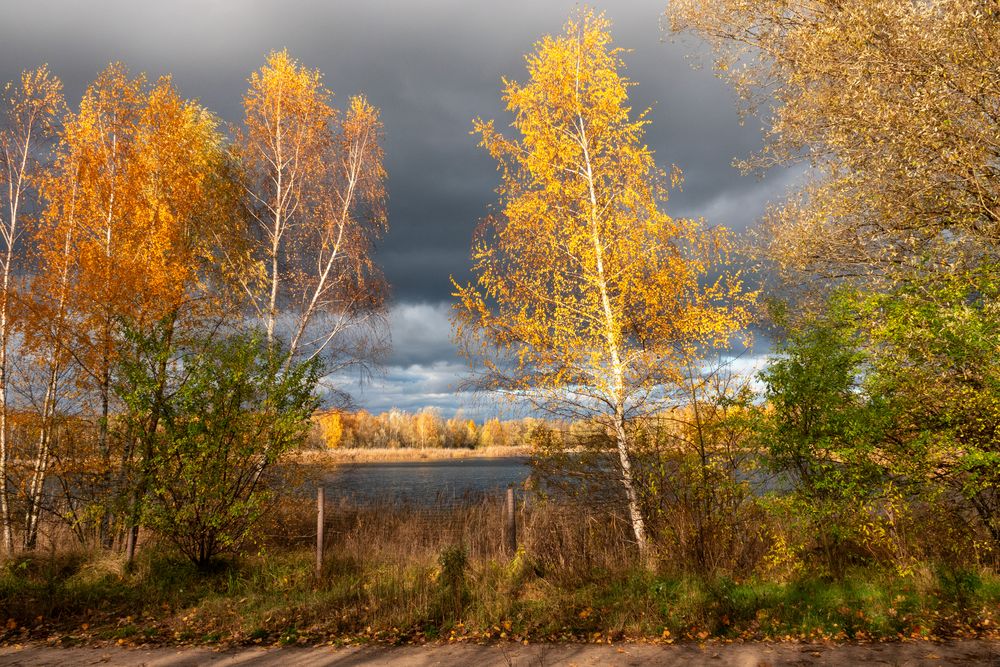 Am Habermannsee Foto & Bild | landschaft, jahreszeiten, herbst Bilder auf fotocommunity