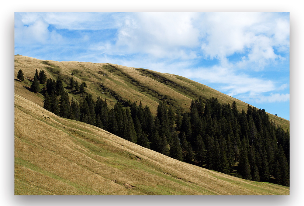 Am Hang Foto & Bild | landschaft, berge, gipfel und grate Bilder auf ...