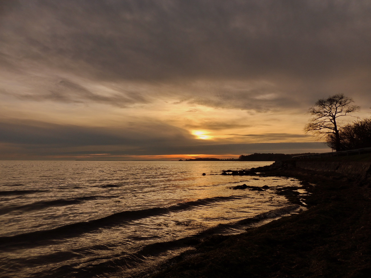 am Horizont Foto & Bild | sonnenuntergang, wolken, baum Bilder auf ...