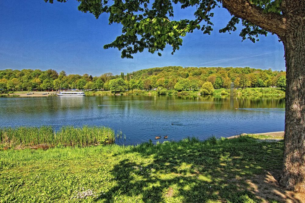 Am Kemnader See Foto & Bild | canon, outdoor, bäume Bilder auf ...