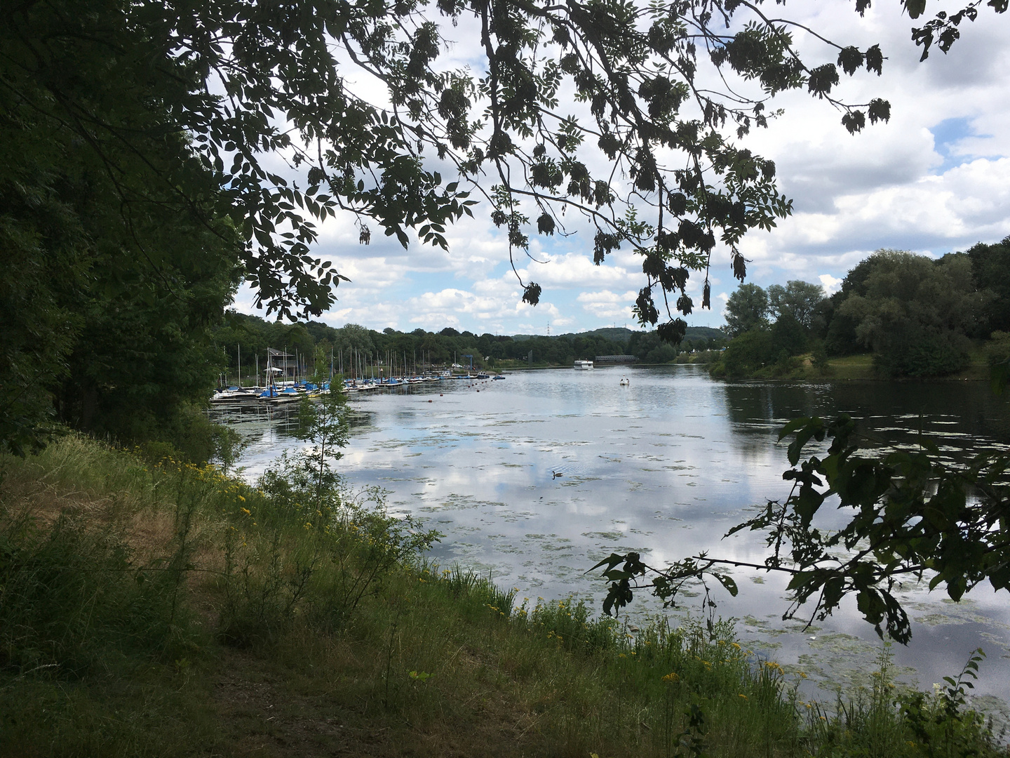 am Kemnader See Foto & Bild | landschaft, projekte, bach, fluss & see ...