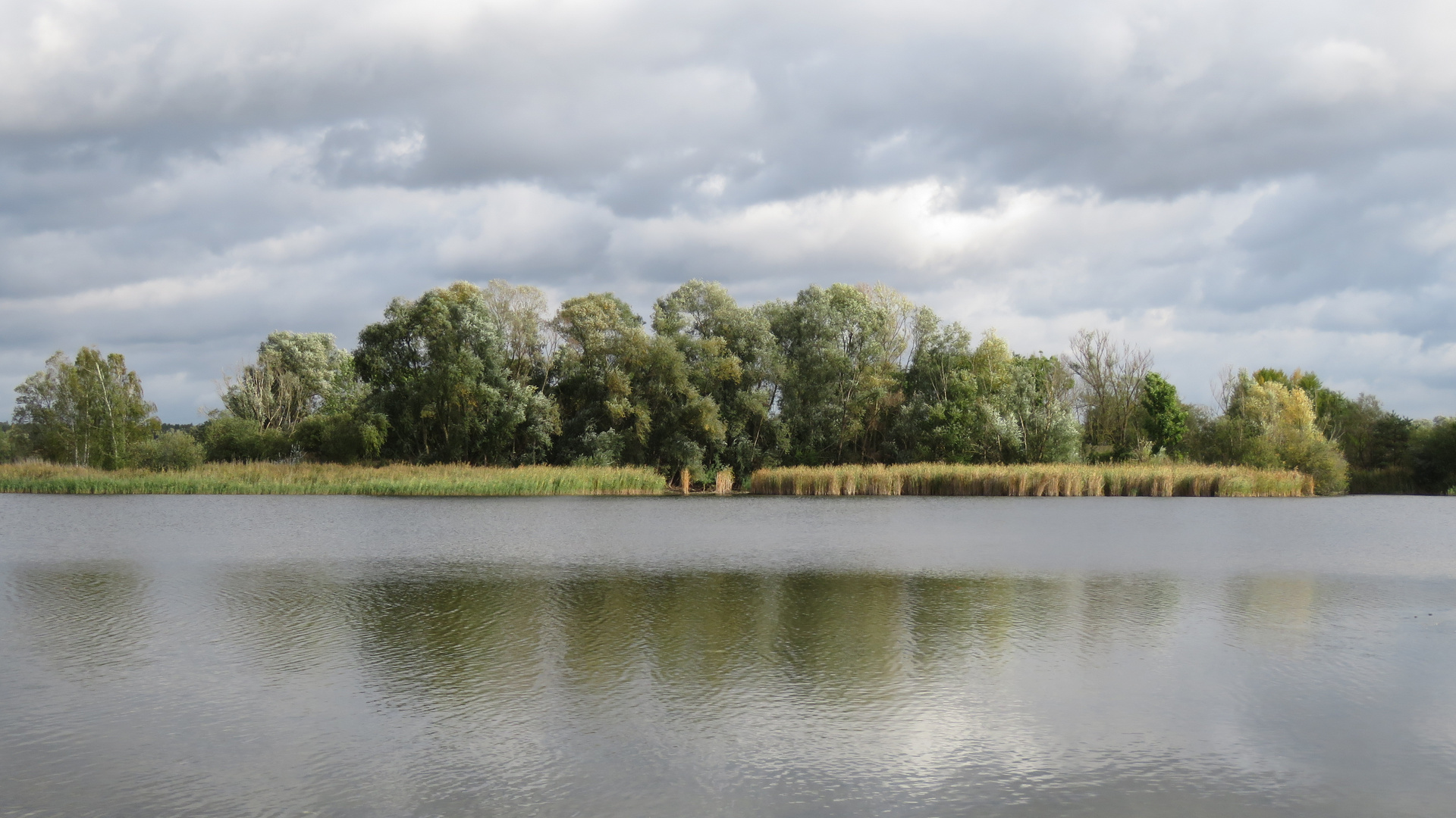 Am Kiessee Staffelde... Foto & Bild | landschaft, jahreszeiten, herbst Bilder auf fotocommunity