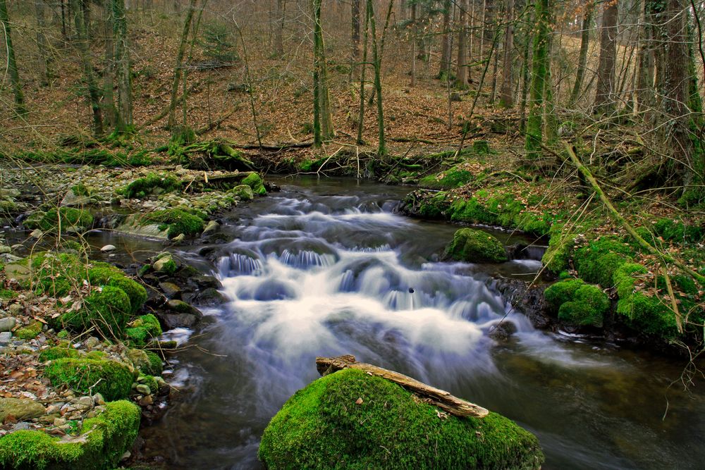 Am kleinen Bach Foto & Bild | landschaft, bach, fluss & see, bachläufe Bilder auf fotocommunity