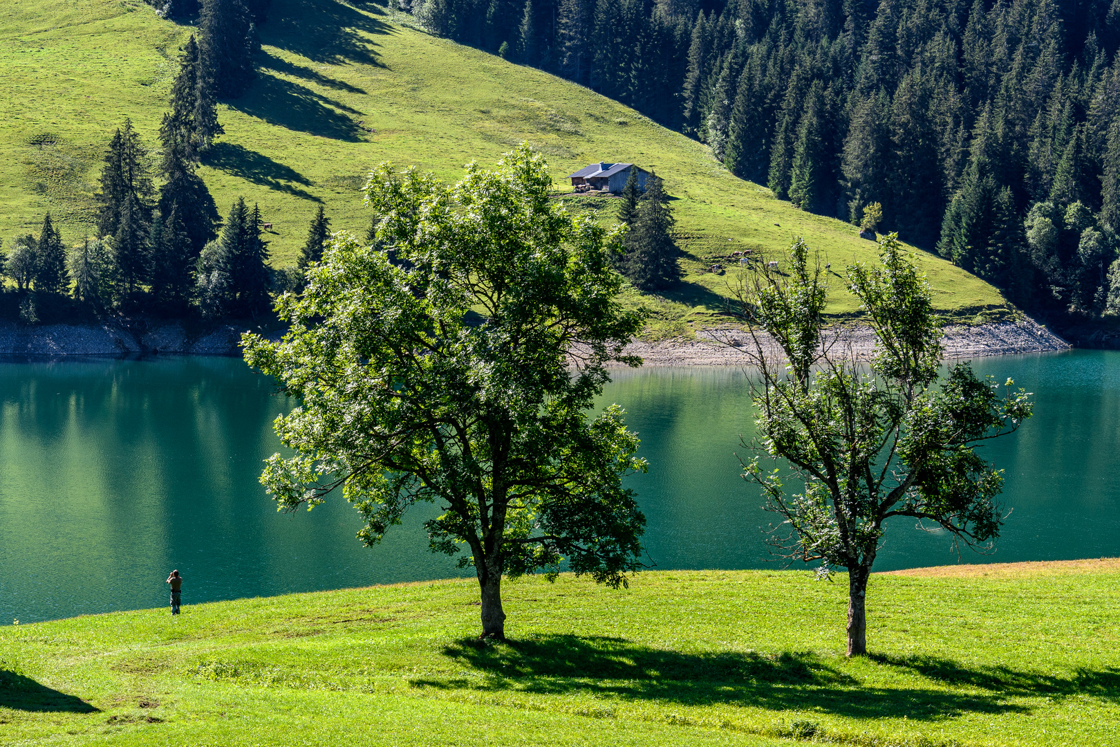 am Lac de L´Hongrin Foto & Bild | europe, abstraktes, schweiz ...