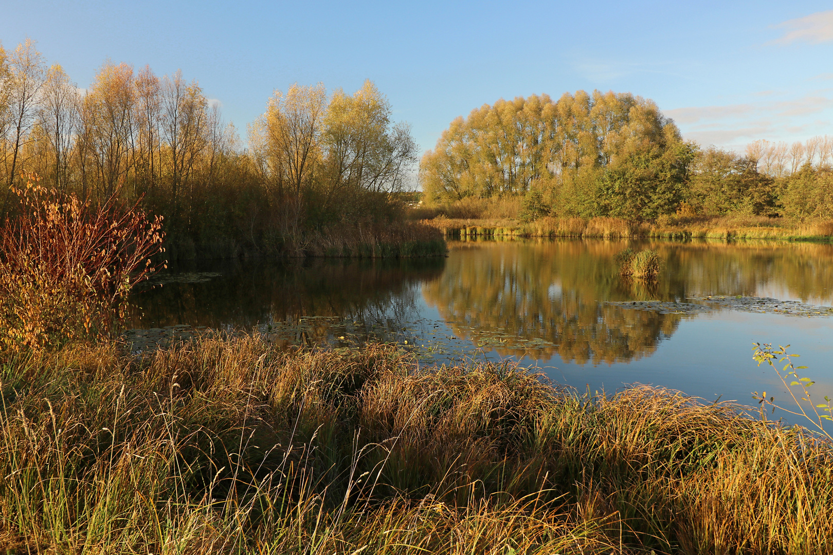 Am Lammer Teich Foto & Bild | spezial, landschaften, wasser Bilder auf ...