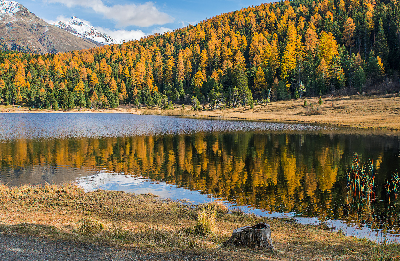 Am Lej da-Staz Foto & Bild | landschaft, sonstiges, jahreszeiten Bilder ...