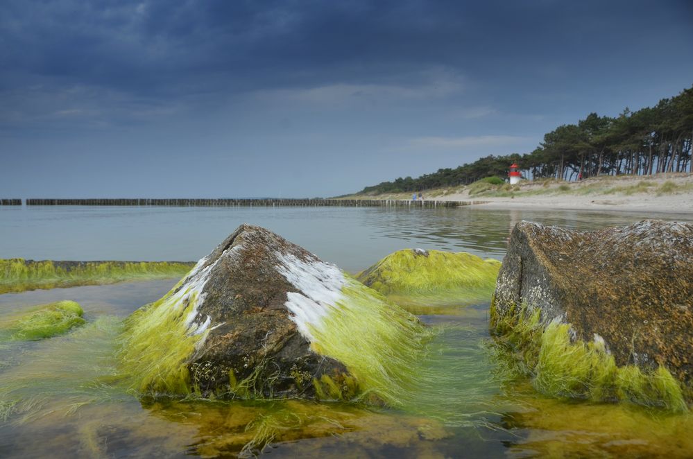 Am Leuchtturm Gellen 2023 Foto & Bild | world, leuchtturm, architektur ...