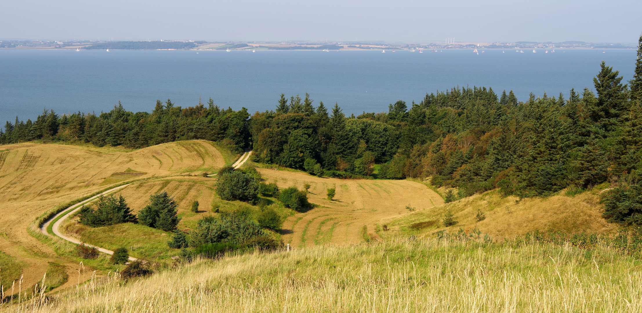 Am Limfjord Foto & Bild | europe, scandinavia, denmark Bilder auf ...