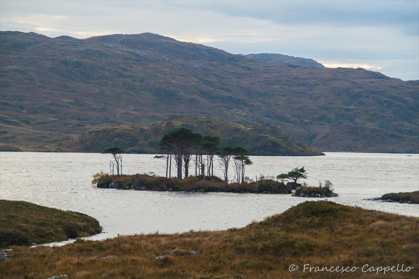 am Loch Assynt (1) Foto & Bild | europe, united kingdom & ireland ...